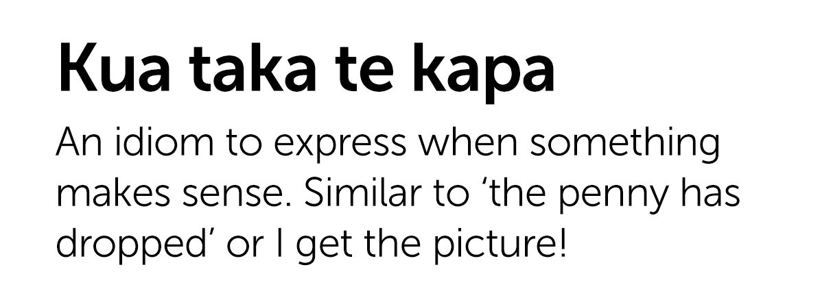 Ngā Kōrero Kīwaha colloquialisms and slangs | Playcentre.org.nz