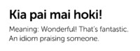 Ngā Kōrero Kīwaha colloquialisms and slangs | Playcentre.org.nz